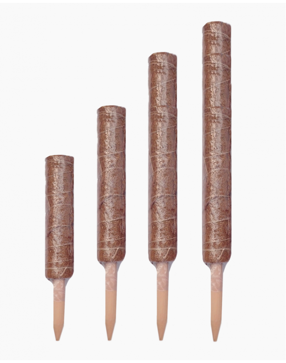 Coir Moss Plant Support Pole Extendable Coco Pole Coco Coir Stick