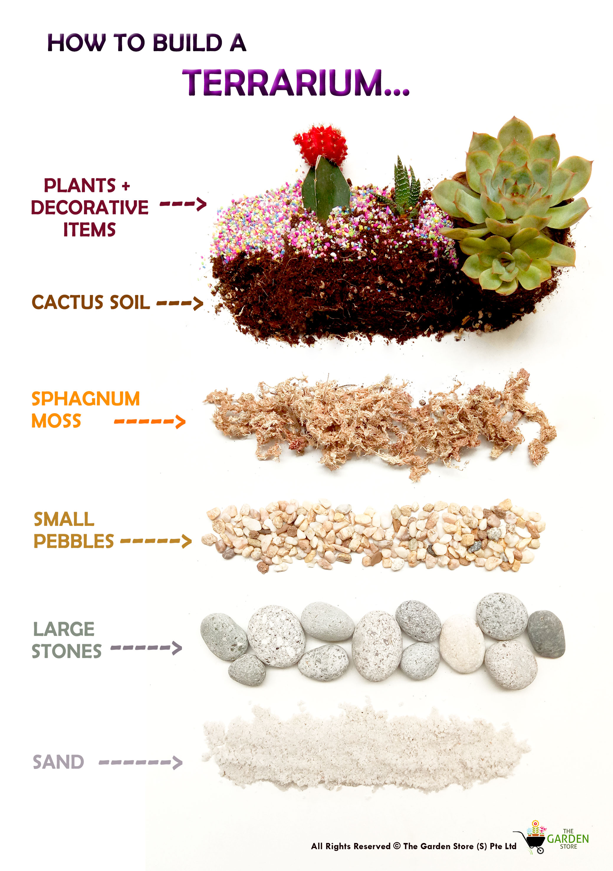 How to Build A Terrarium